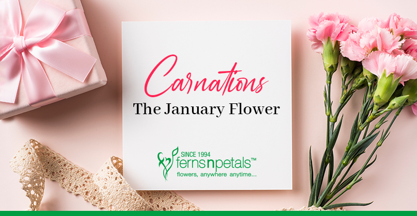 Know more about Carnations - The January Flower - FNP Singapore