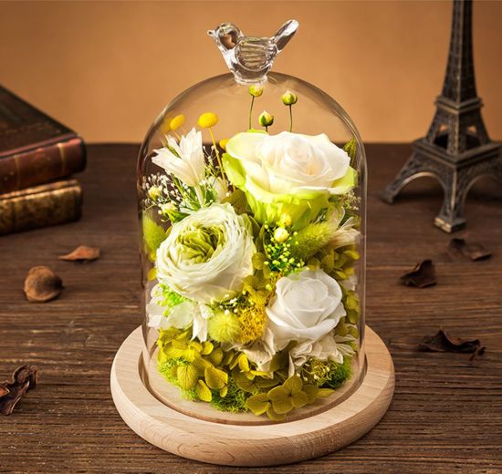 7 Reasons to Gift Preserved Flowers - FNP Singapore