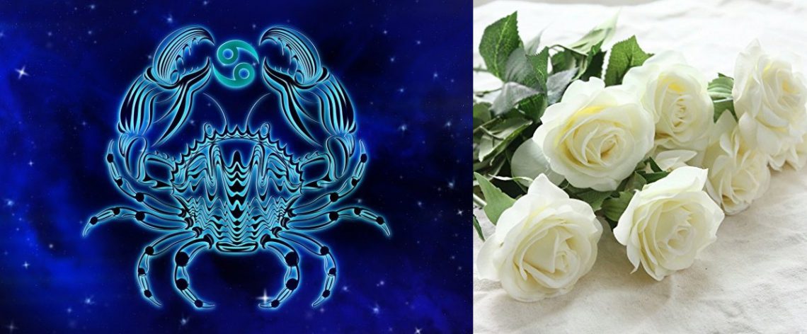 Flowers Best Suited for Zodiac Signs - FNP Singapore