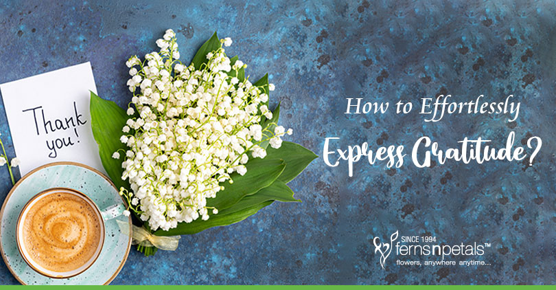 How to Effortlessly Express Gratitude? - FNP Singapore