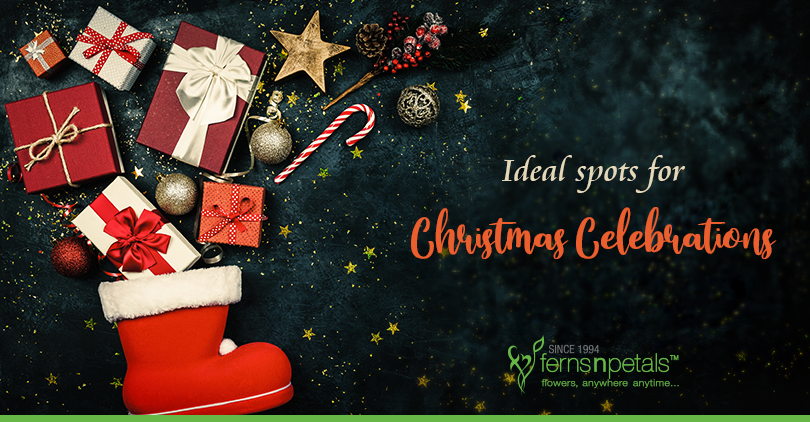 Ideal spots for Sparkly Christmas Celebrations in 2023 - FNP Singapore