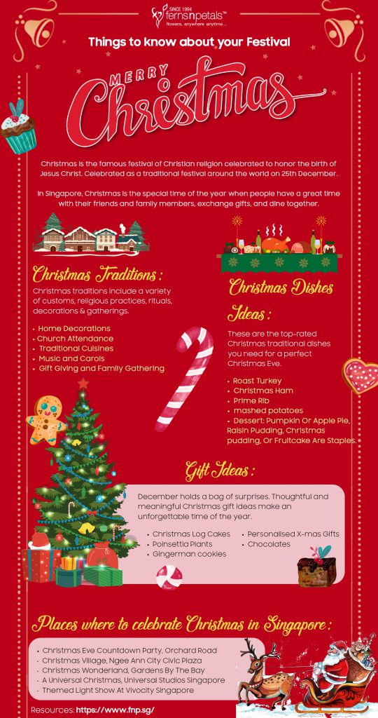 Things to Know About Your Festival Christmas | Ferns N Petals