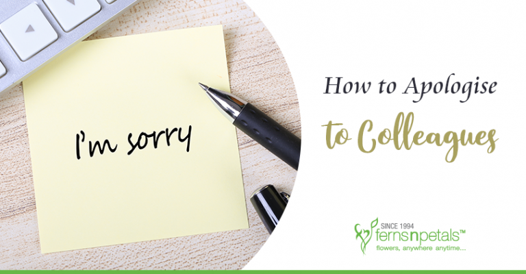 How to Sincerely Apologies to your Colleague? - FNP Singapore