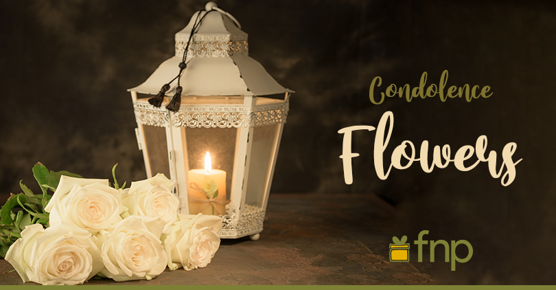 9 Condolence Flowers for Paying a Thoughtful Tribute - FNP Singapore