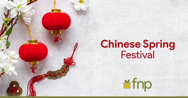 What is the Chinese Spring Festival? - FNP Singapore
