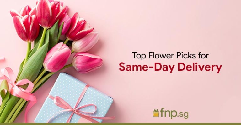 Top Flower Picks for Same-Day Delivery in Singapore - FNP SG