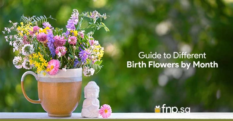 Floral Guide to Best Birthday Flowers for Every Month - FNP SG