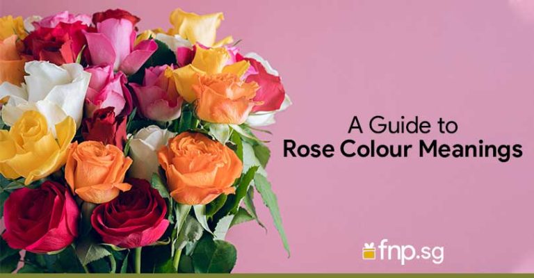 Meanings Behind Rose Colors for Your Ideal Bouquet - FNP SG