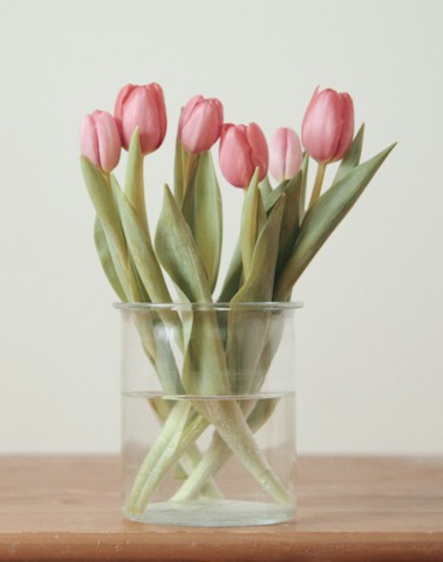 How to Pick the Right Vase for a Flower Bouquet? - FNP Singapore