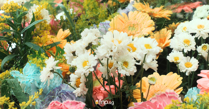 What Is January’s Colour Palette in Floral Gifting? - Fnp.sg